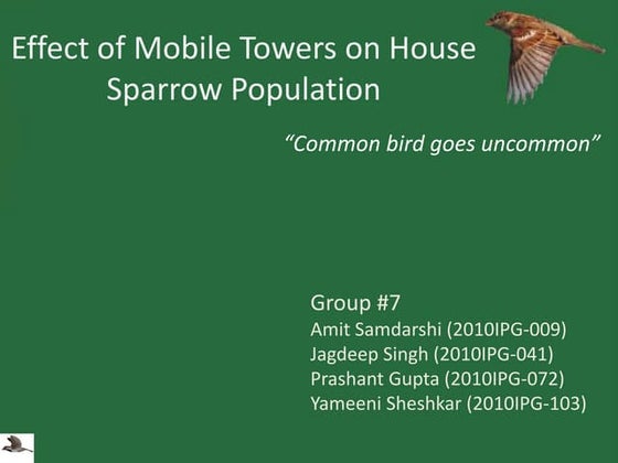 MOUNT ABU PUBLIC SCHOOL PROJECT Save sparrow project | PPT