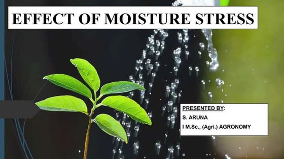 Drought stress | PPTX