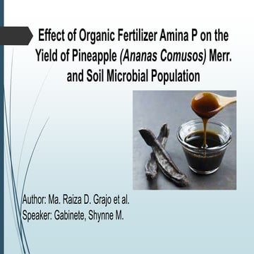 “Effect of Organic Fertilizer Amina P on the yield of Pineapple (Ananas ...