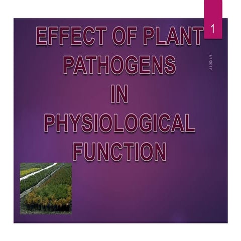 Effect of plant pathogens in plant physiologicalfunction | PPTX