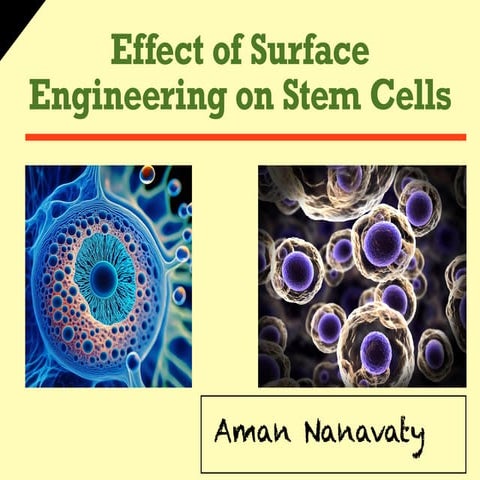 Stem Cell Engineering: Principles And Applications – PRWE