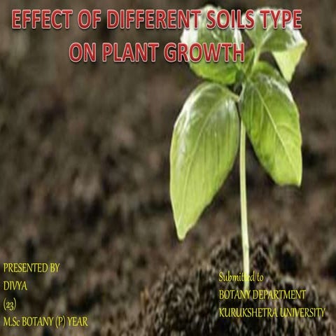 Effect of two soil types on plant growth | PPTX