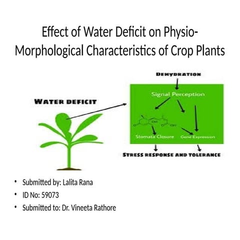 Effect_of_Water_Deficit_on_Plants_Formal_PPT.pptx