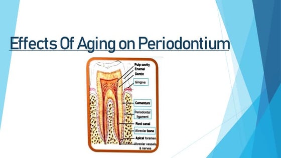 AGEING-&-PERIODONTIUM-20207231433150.ppt