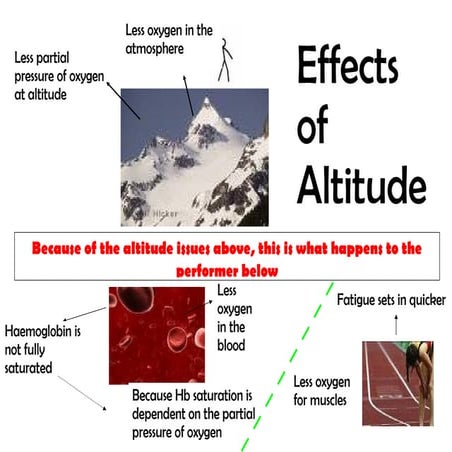 Effects of altitude | PPT