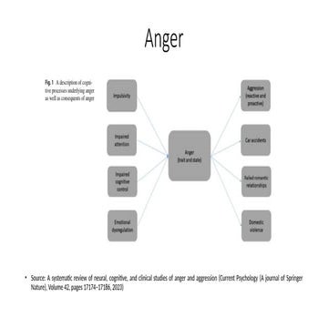 Effects of Anger and Anger management at workplace .pptx
