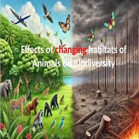 Effects_of_Changing_Habitat_on_Biodiversity.pptx