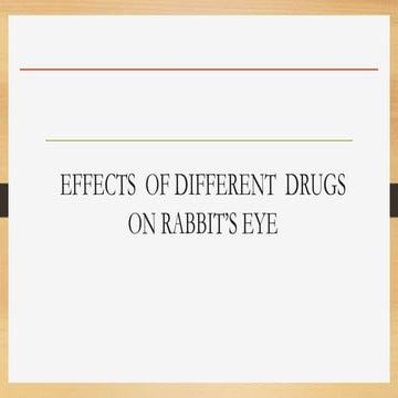 Effects of different drugs on rabbit eye.pptx