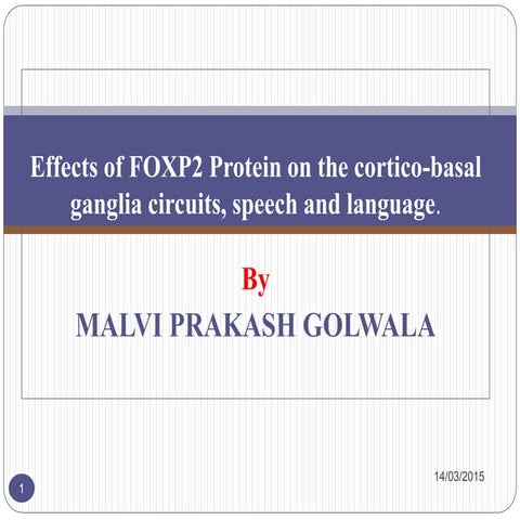 FoxP2 and language | PPTX | Brain and Nervous System Disorders ...