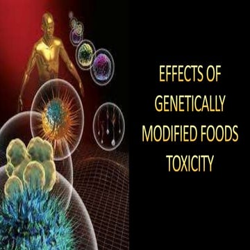 Effects of genetically modified foods on toxicity | PPTX