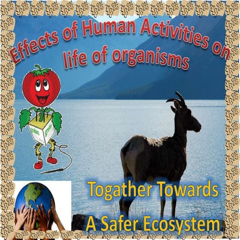 Effects of human activities on organisms | PPTX