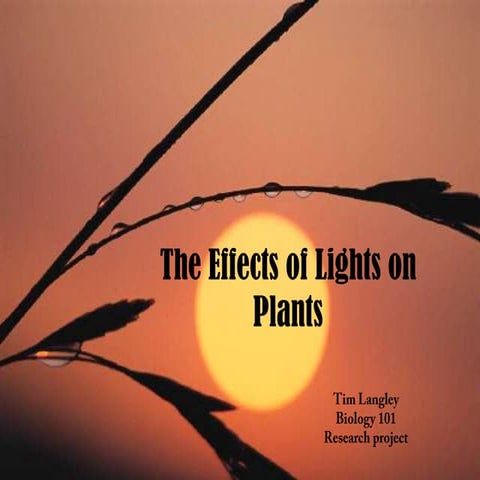 The Effects of Light on Plants | PPTX
