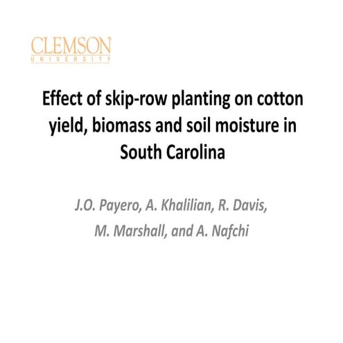 Effects of skip row planting on cotton - khalilian | PPT