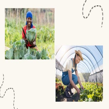 2. effects of the sun's heat and light | PPT