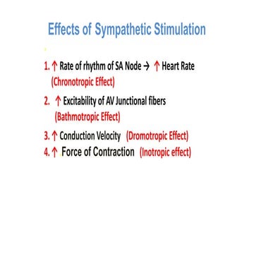 Effects of Sympathetic Stimulation 1.pptx