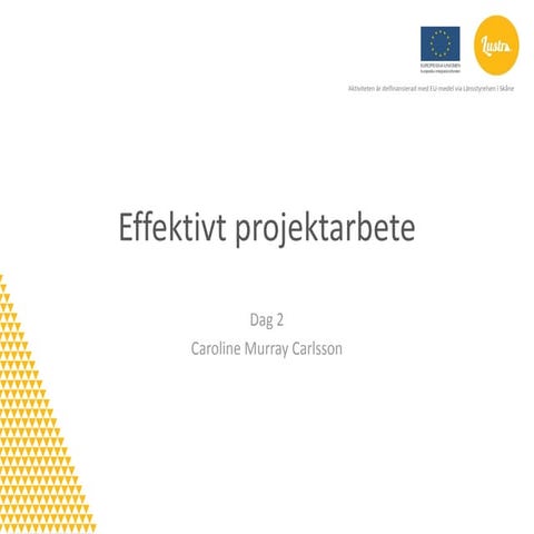 Effektivt projektarbete | PPT