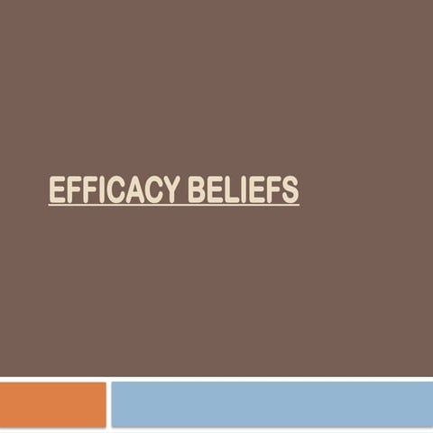 Efficacy Beliefs:SELF EFFICACY,ROLE EFFICACY,COLLECTIVE EFFICACY ...