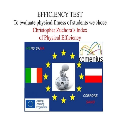 Efficiency test | PPT