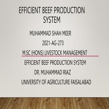 Cattle production | PDF