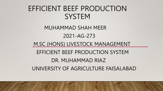 overview-of-the-beef-cattle-industry.pptx | Agriculture | Industries
