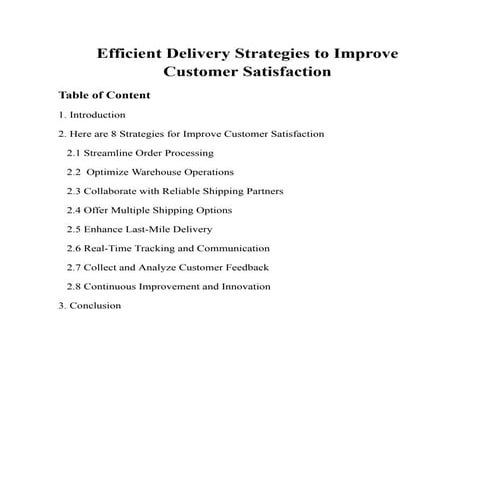 Efficient Delivery Strategies to Improve Customer Satisfaction.pdf
