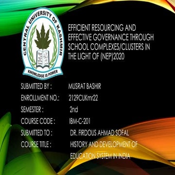 Efficient resourcing and effective governance.pptx