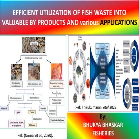 Efficient utilization of Fish waste.pptx