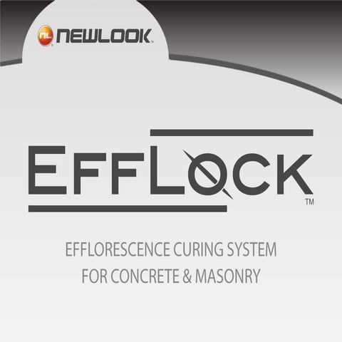 Introduction to EffLock Efflorescence-Curing System | PPTX