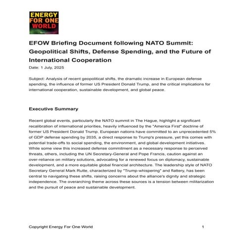 EFOW Briefing Document following NATO Summit_ Geopolitical Shifts ...