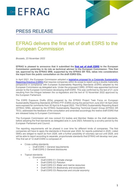 ESRS first set of draft European Sustainability Reporting Standards.pdf
