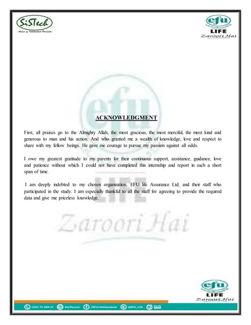 Efu Complete Internship Report | DOCX | Life Insurance | Insurance