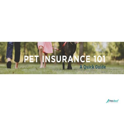 Pet Insurance Flyer | PDF