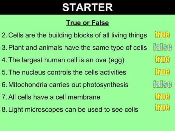 Grade11 life sciences practical task | PDF
