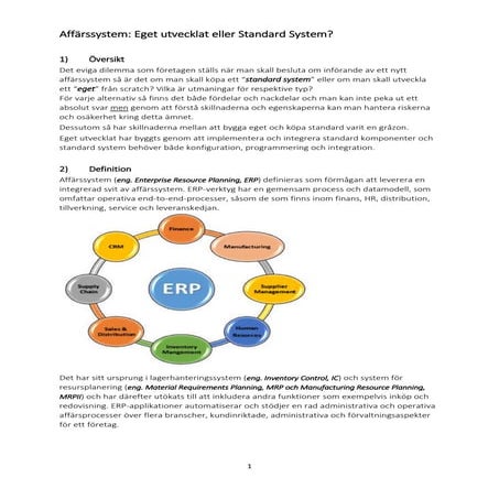 Affärssystem: Eget vs. standard | PDF