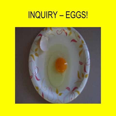 Egg Inquiry Powerpoint | PPT
