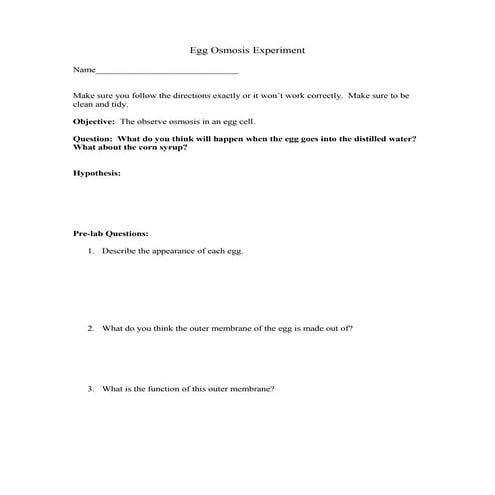 Egg Osmosis Experiment | DOC