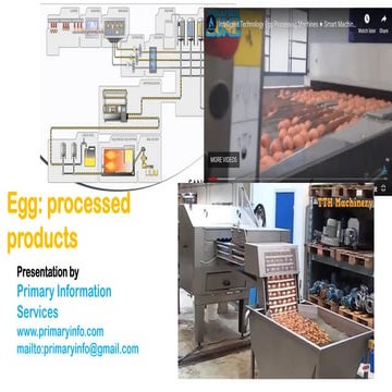 Egg processing - projects | PPT