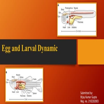Egg and Larval Dynamic.pptx