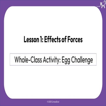 CuriousEd : Egg Challenge: Understanding Inertia and Newton’s First Law ...