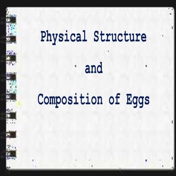 Egg Composition Pptx