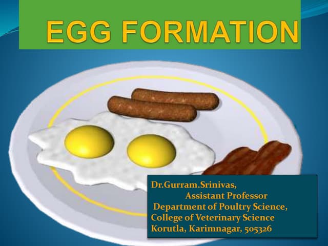 Avian circulatory system | PPTX