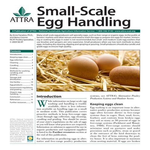 Small-Scale Egg Handling | PDF