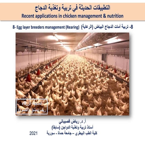 8- Egg layer breeders management (rearing) تربية أمات الدجاج البياض ...