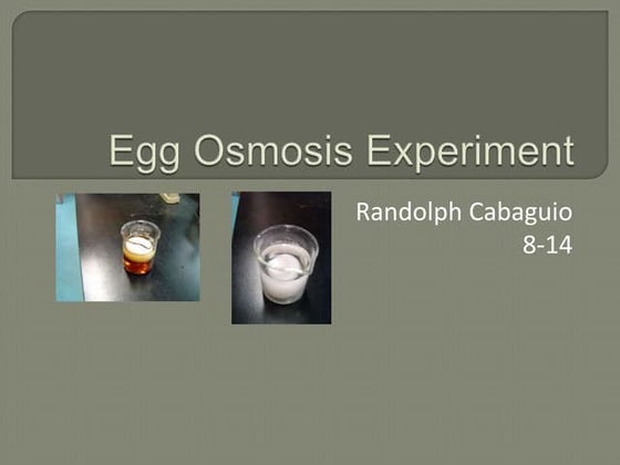 Egg osmosis experiment | PPTX | Chemistry | Science