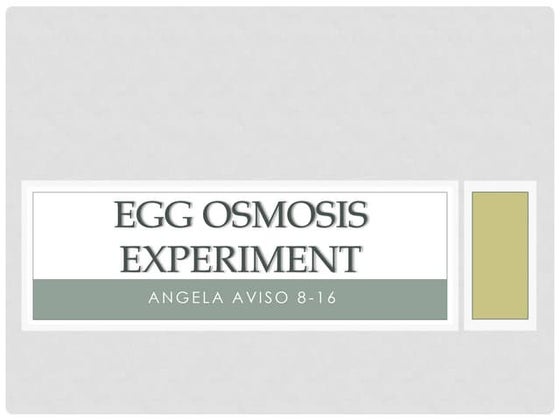 Danilyn's Egg osmosis experiment black and white | PPT