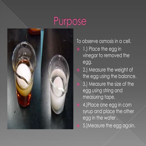 Egg osmosis experiment | PPTX