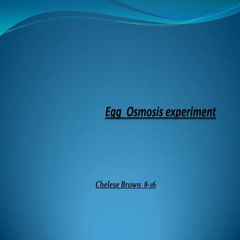 Egg osmosis experiment | PPTX