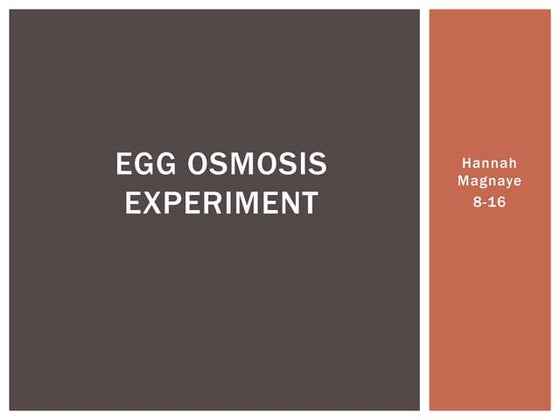 Nicole's Egg Osmosis Experiment | PPT