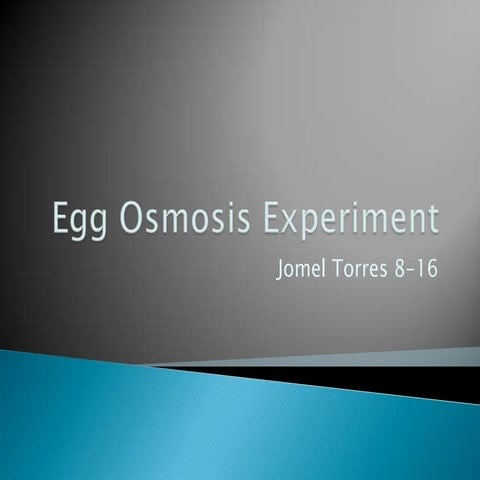 Egg osmosis experiment | PPTX