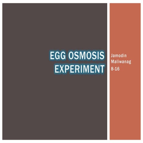 Egg osmosis experiment Jamodin | PPT